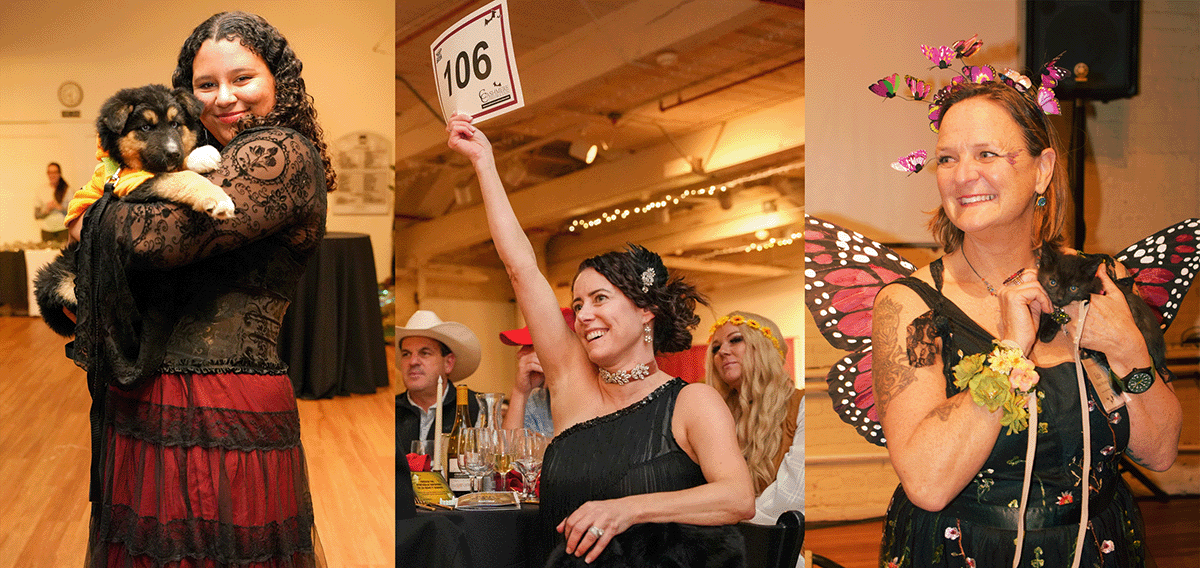 Bowser’s Boo Bash @ Zenith Vineyard in Salem | Dog & Human Costumes ...