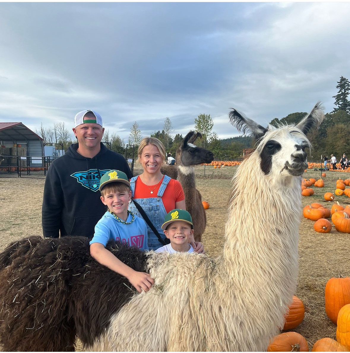 Fall Fun @ Frog Pond Farm | Llama Corn Maze, Pumpkin Patch, Food ...