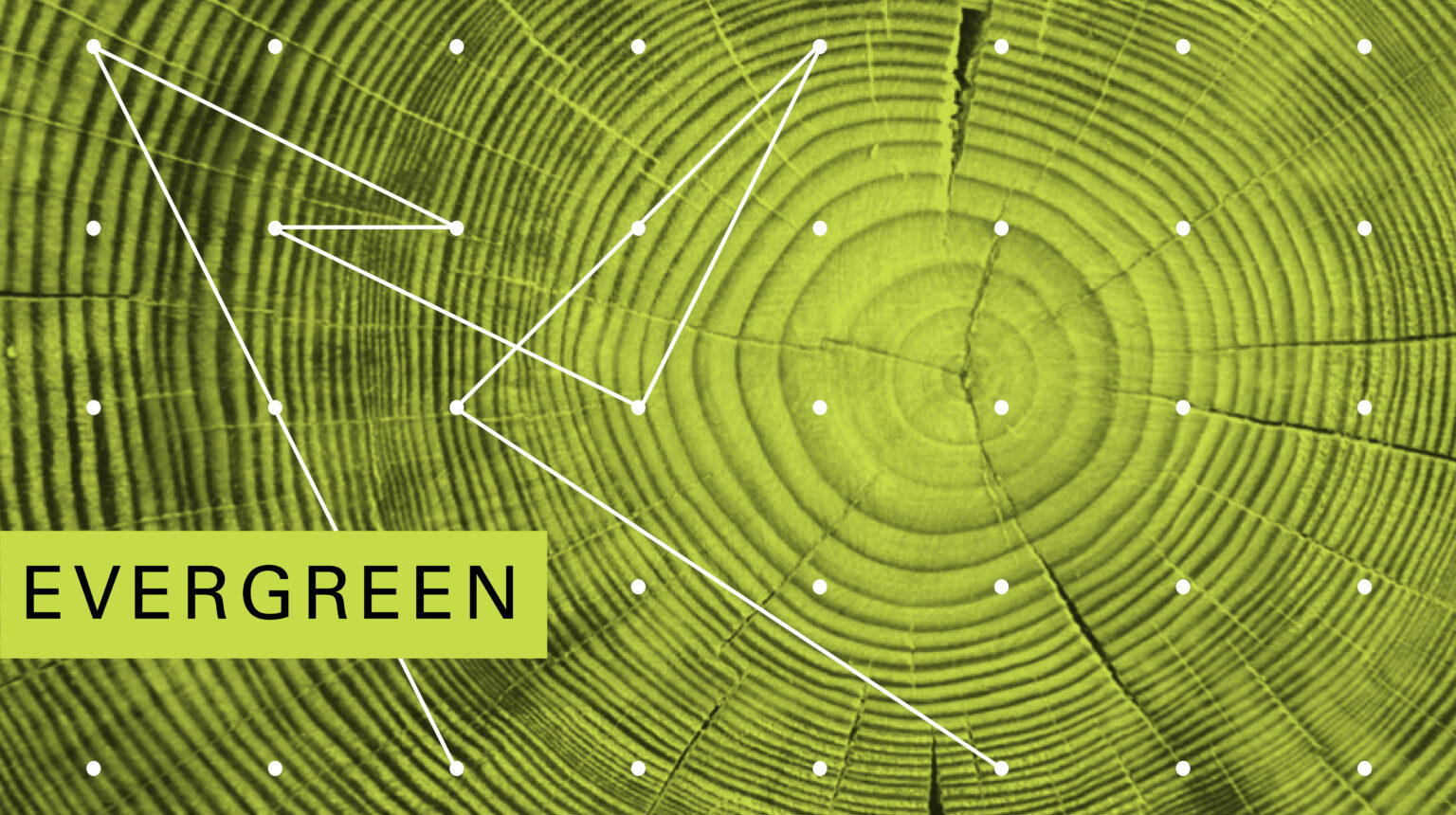 Win Tickets ($180): Third Angle presents Evergreen @ World Forestry ...